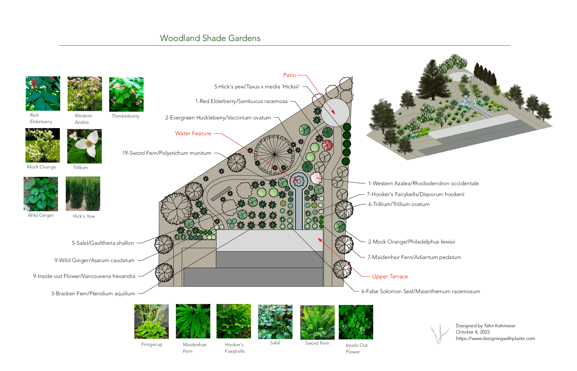 Landscape Designs – Designing With Plants